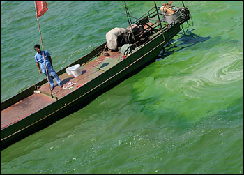 William Wan » Blog Archive » The Tale of Tai Lake